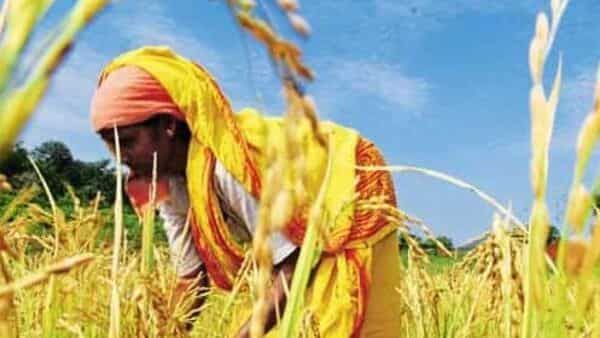 Centre to roll out new integrated food security scheme…