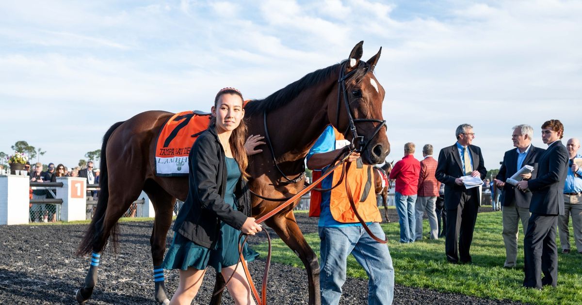 TV racing star Andie Biancone judges racehorses by…