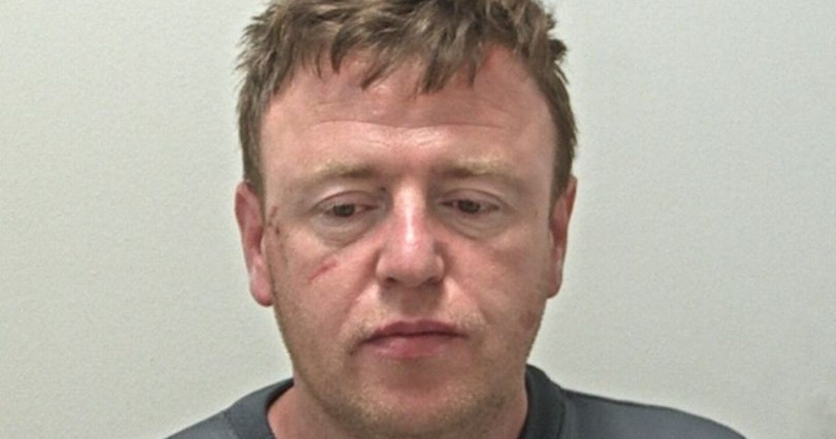 Violent thug strangled mum in 'terrifying' assault as…