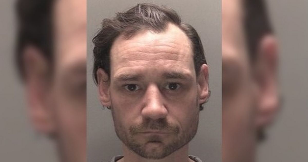 Paedophile raped teenage girl in alleyway as sick…