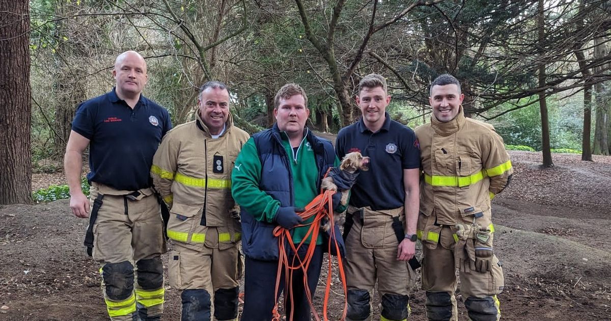 Dublin Fire Brigade launch sweet rescue mission…