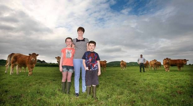 Progressive farming - reaping the rewards from…