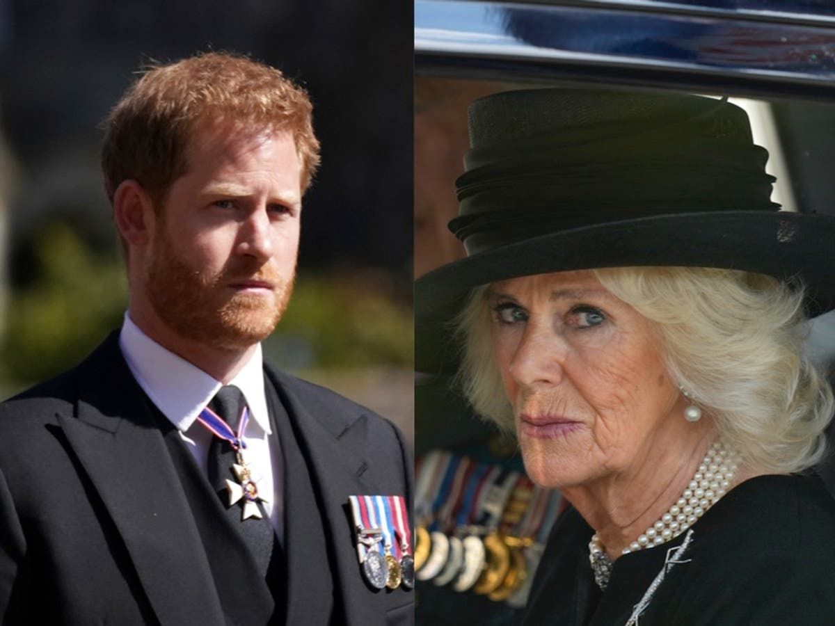 Prince Harry describes Camilla as ‘the villain’ in CBS…
