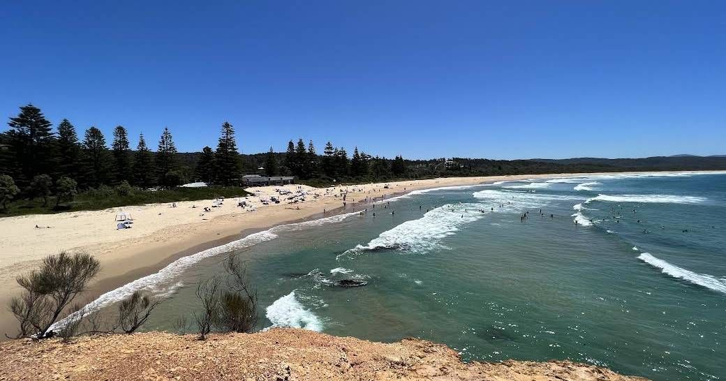 Tathra Beach evacuated after shark sighting