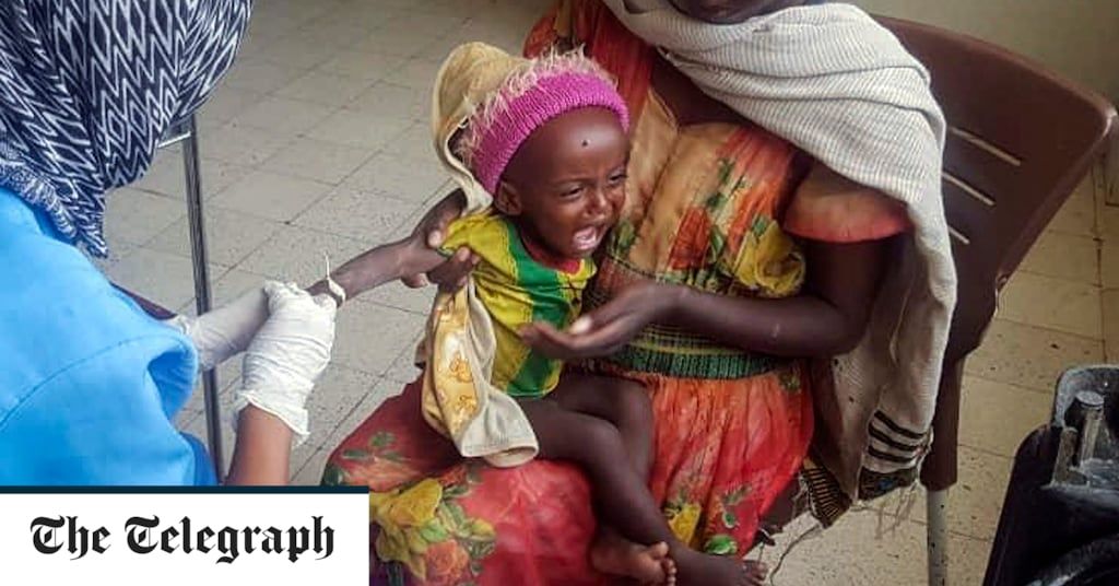 A child died every 4.4 seconds in 2021, says UN