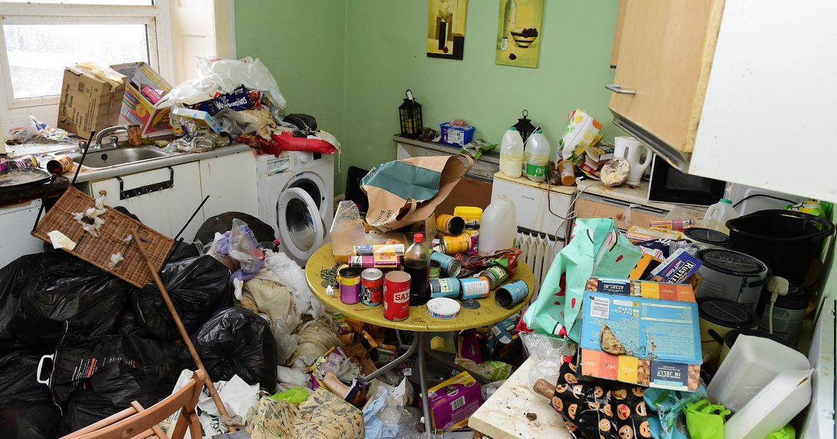 Inside disgusting horror flat covered in faeces as…