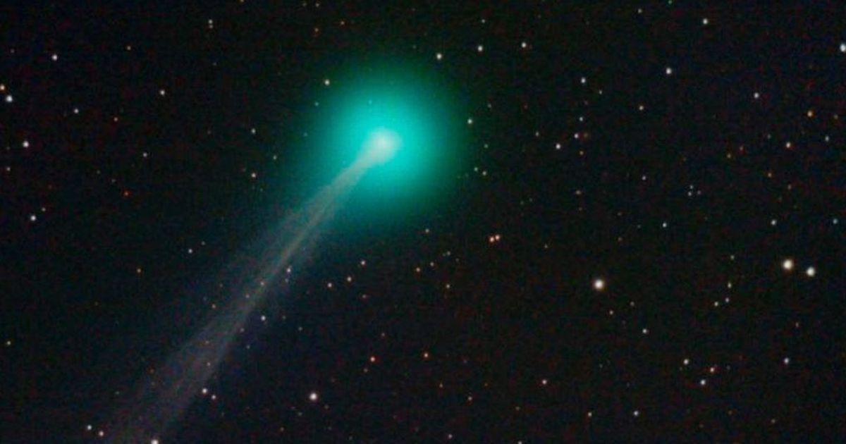 How to spot rare green comet in Irish skies as it…