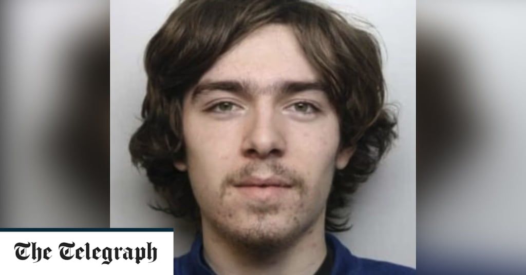 Pictured: Man, 22, charged with murder of Elle Edwards…