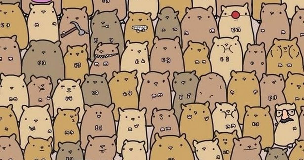 Optical illusion features hidden potato viewers…