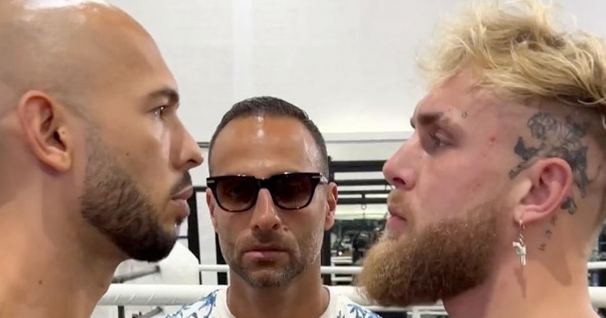 Jake Paul backed to KO controversial Andrew Tate in… Jake Paul backed to KO controversial Andrew Tate in…