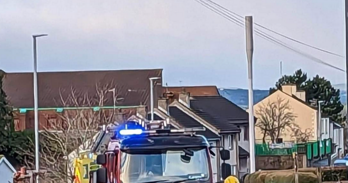 Downpatrick crash sees woman taken to hospital