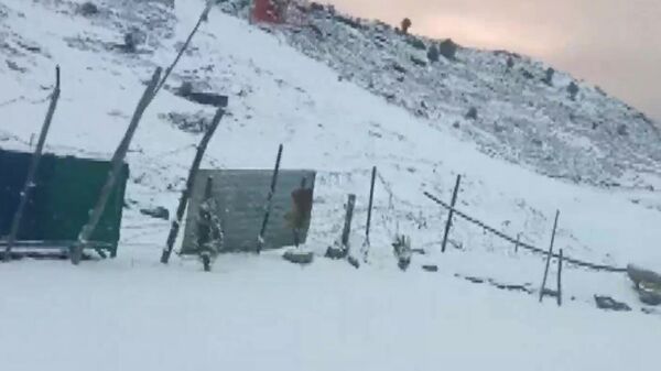 Snowfall in Uttarakhand: Joshimath, Chamoli, Badrinath…