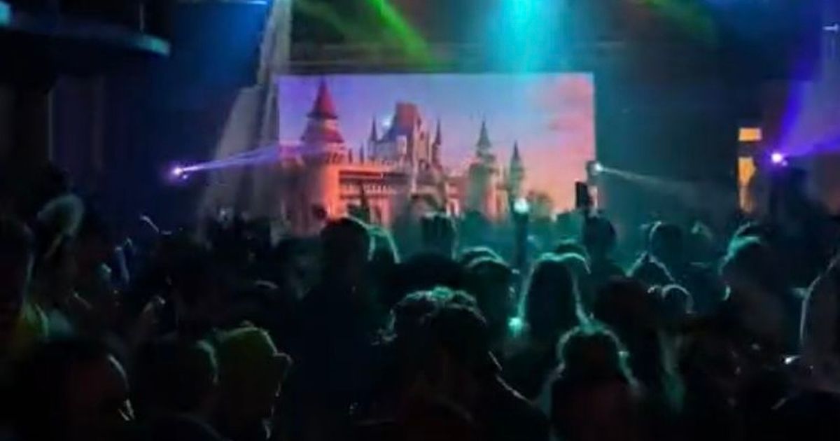 A Shrek-themed rave is coming to Cardiff