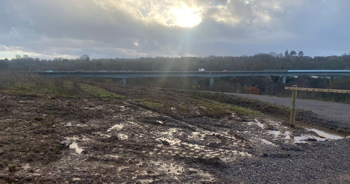 The 'dreadful' state of a much-loved Cardiff park as…