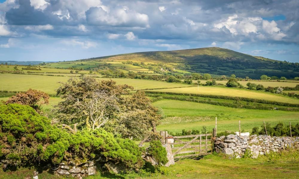 Dartmoor landowner who won wild camping ban may be…