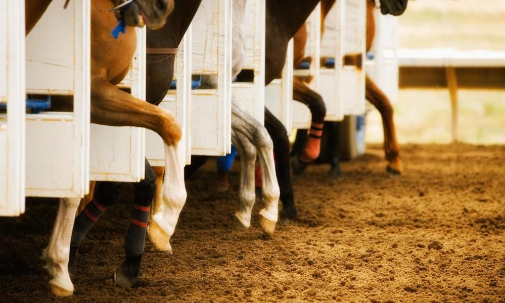 Kick the Latch by Kathryn Scanlan review – straight…