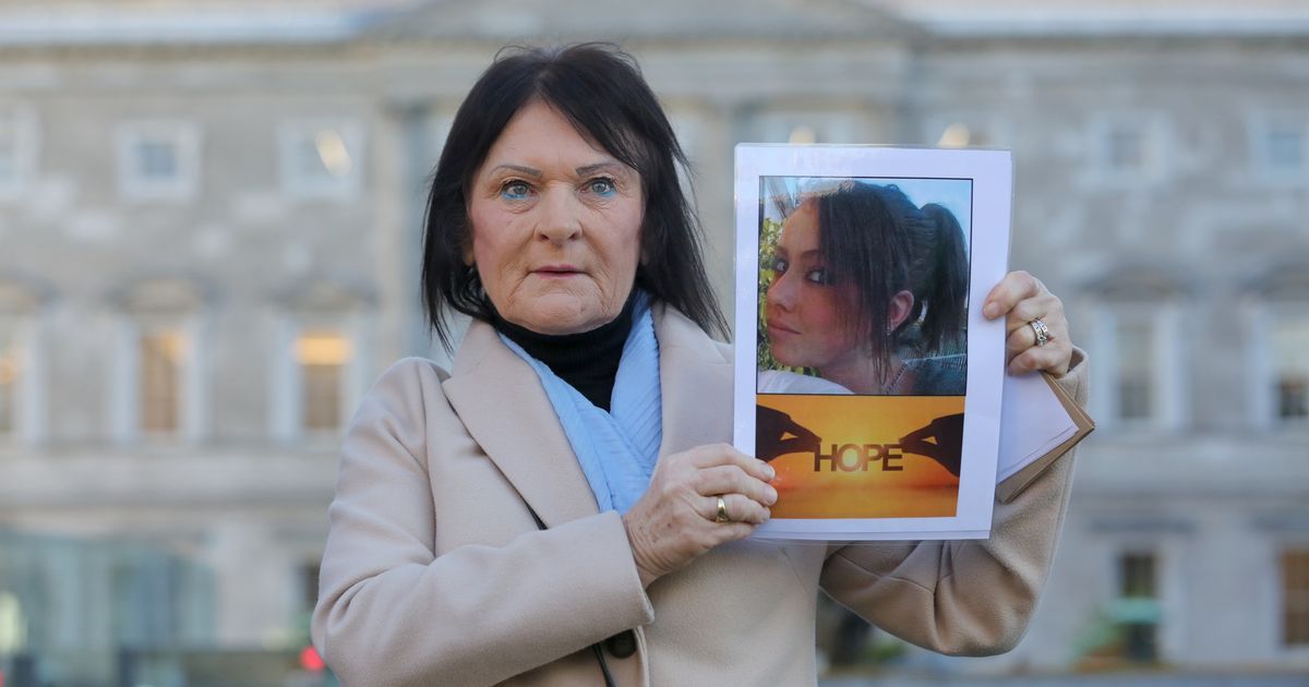 Amy Fitzpatrick's family calls for investigation to be…