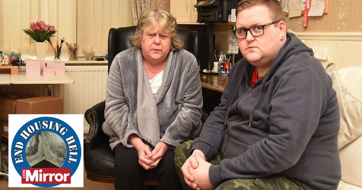 Family attacked by fleas as rat infestation causes son…