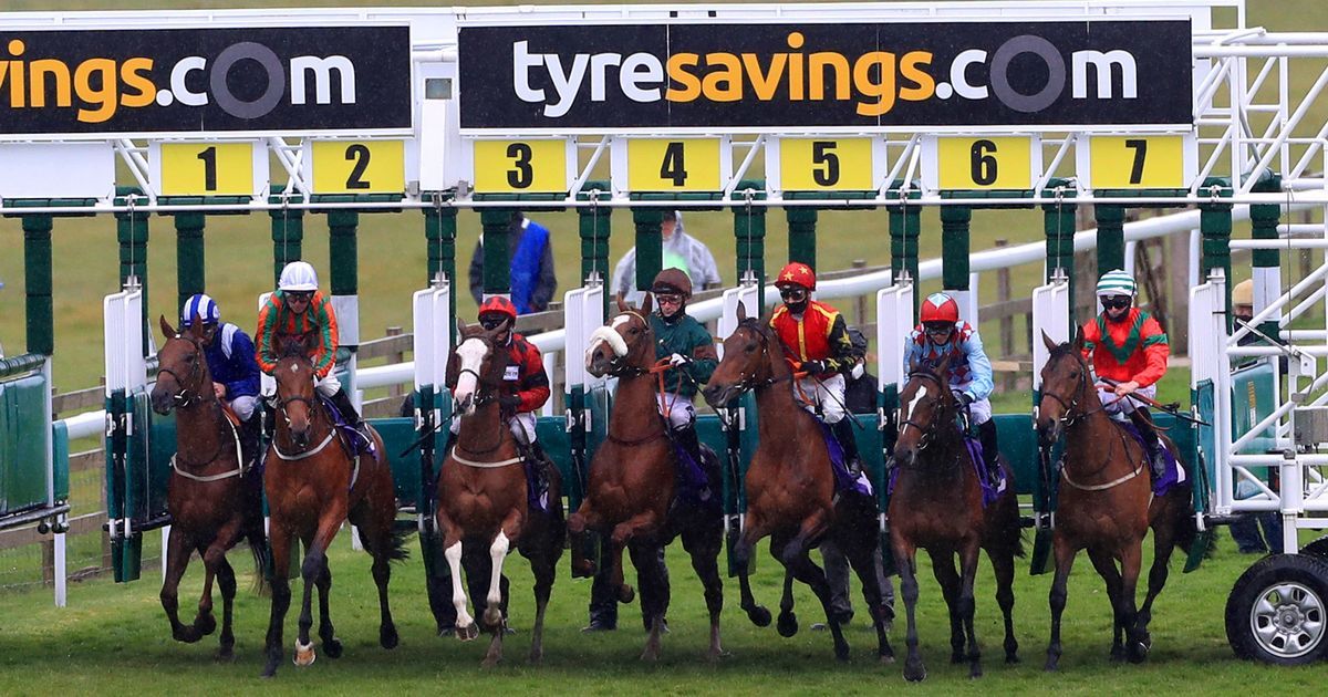 Jockey suffers electric shock from starting stalls…