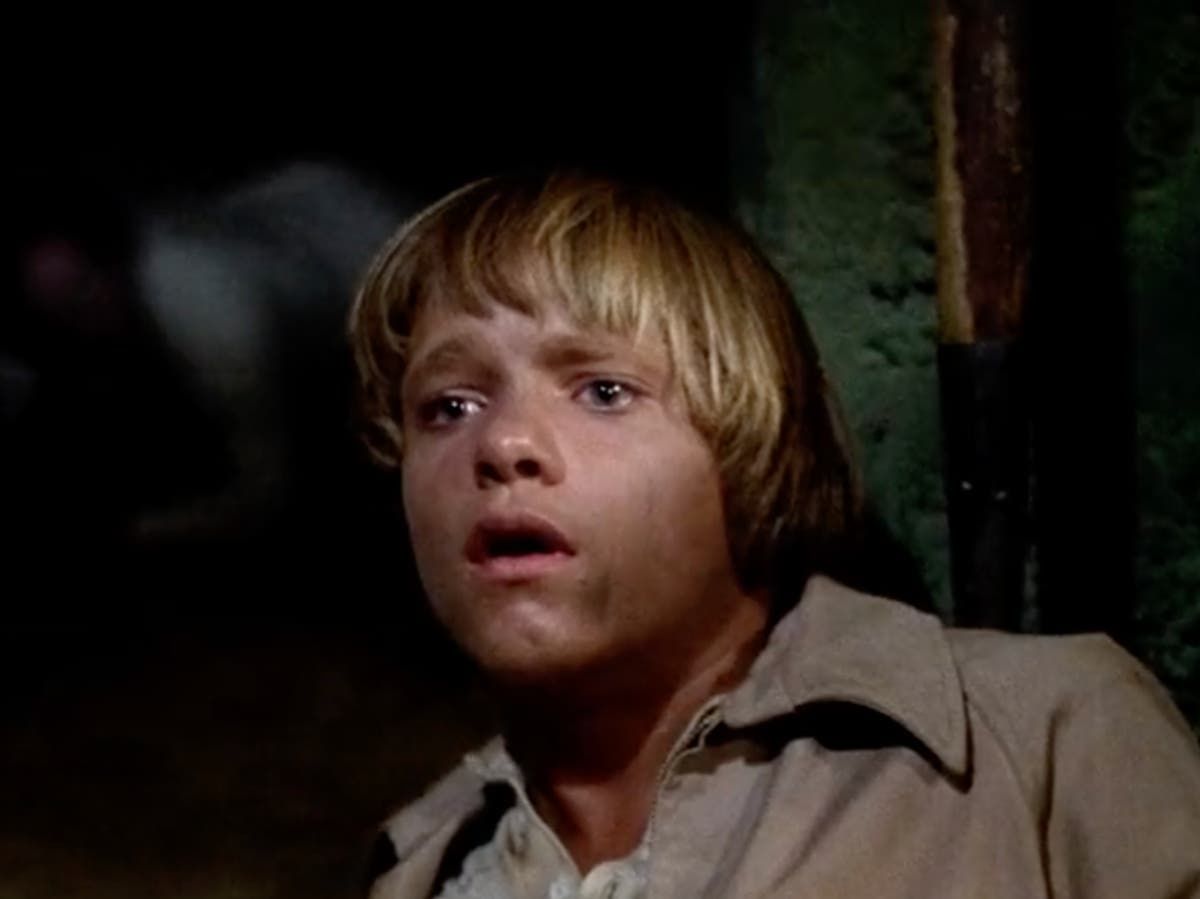 Lance Kerwin death: Salem’s Lot child star dies, aged… Lance Kerwin death: Salem’s Lot child star dies, aged…