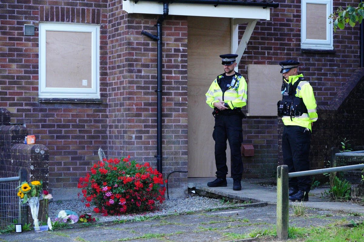 GP never knew killer Jake Davison was granted shotgun…