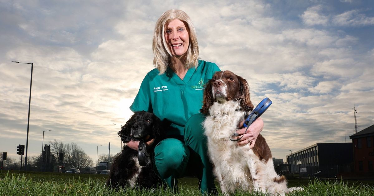 Dog saves nurse's life after headbutting her in chest…