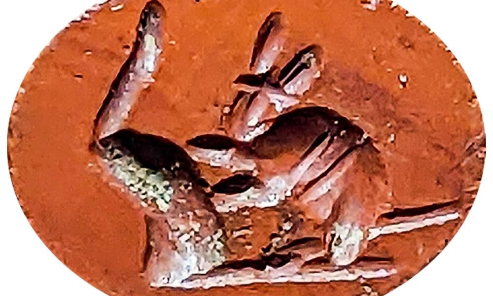 ‘Incredible’ Roman bathers’ gems lost 2,000 years ago…