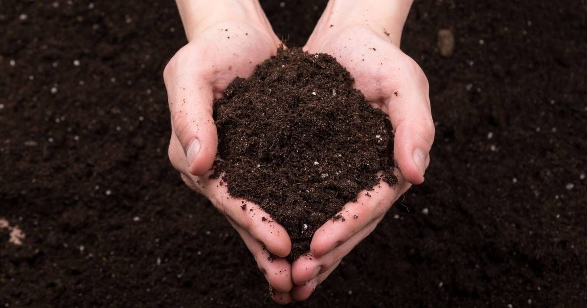 Compost: Magic or mess? (And how to tell the…