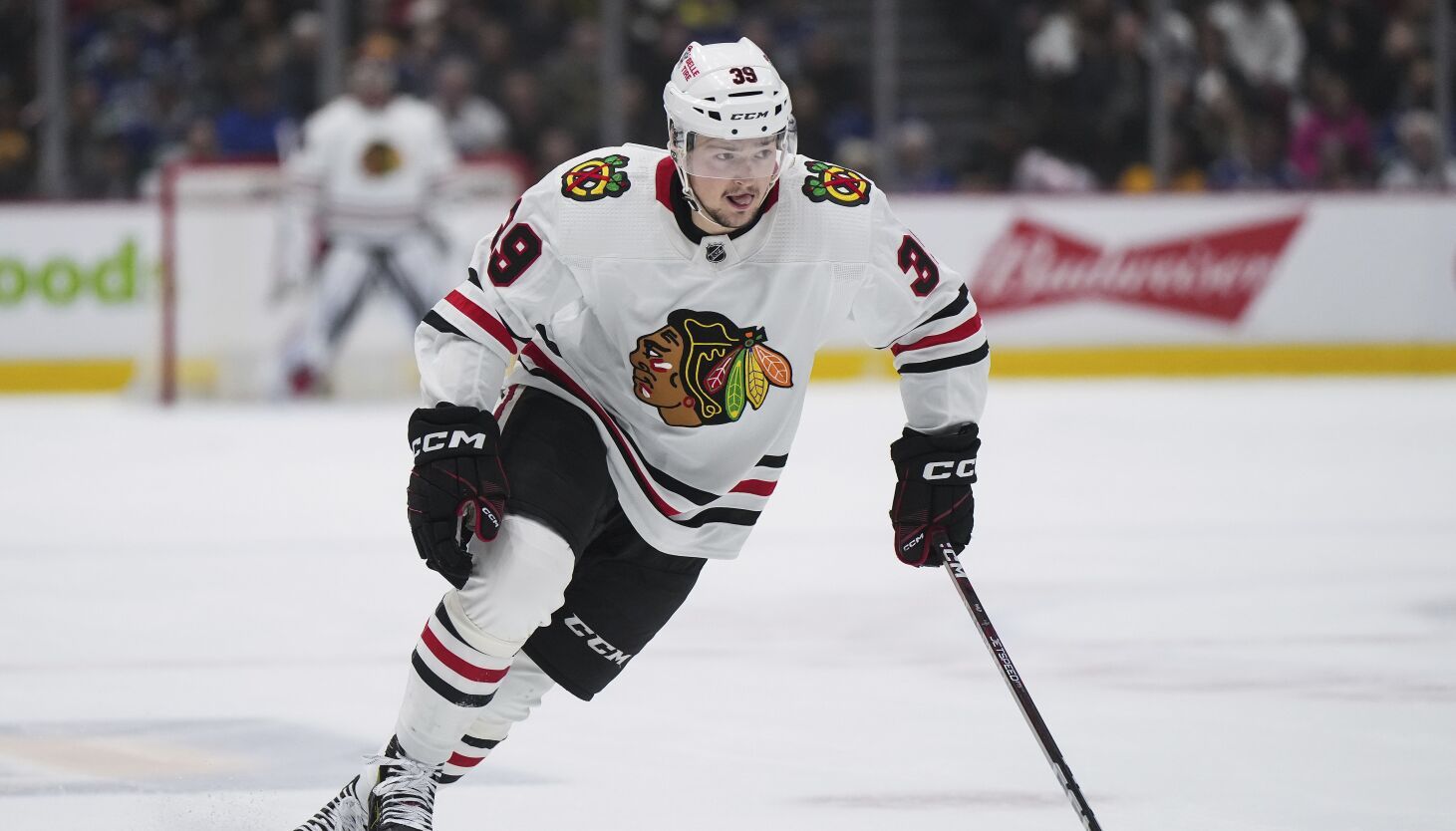Luke Philp’s first Blackhawks stint brings him home to…