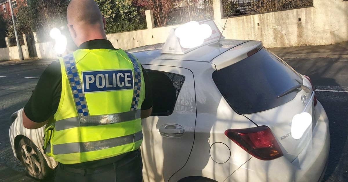 Police pull over learner driver during lesson and…