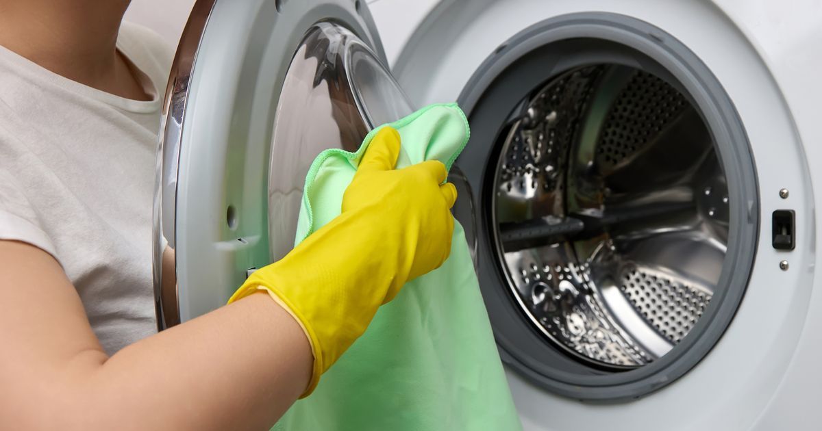'Gross' hidden compartment in washing machines leaves…