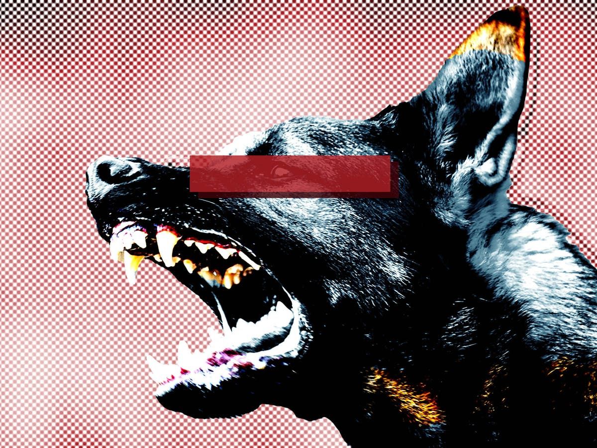 Seven warning signs of a dog attack everyone should…