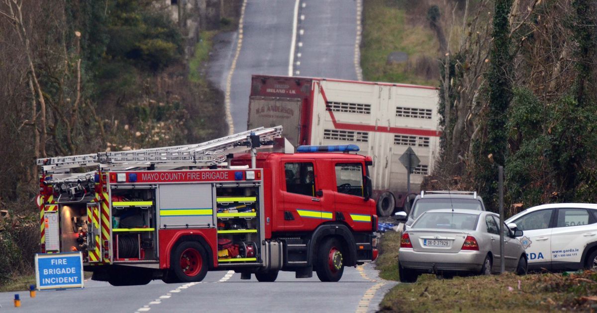 Two men killed in horror Mayo crash named as tributes…