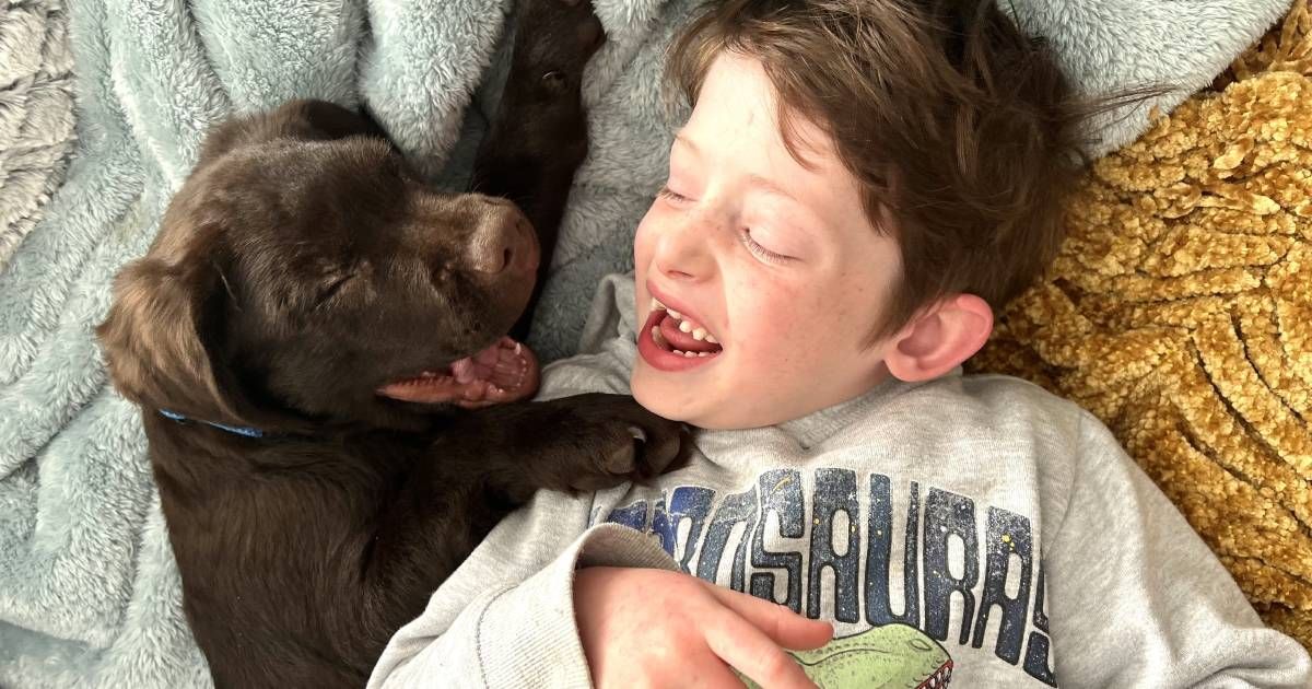 One boy and his very special dog