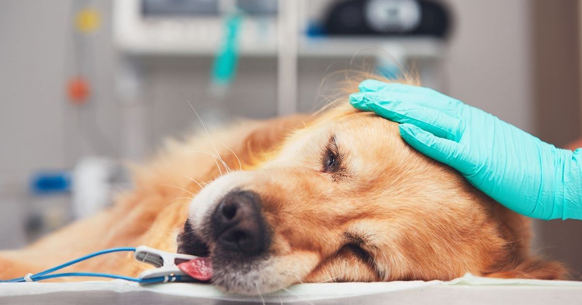 Alabama rot map shows all cases recorded in…