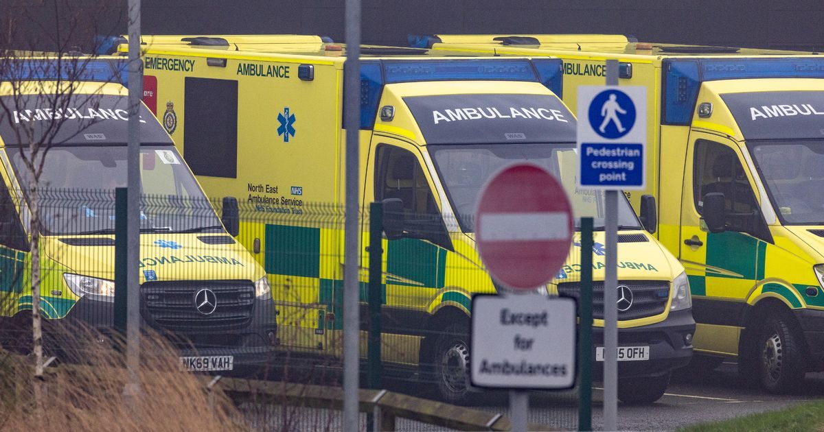 New ambulances 'welcome' say North East leaders as…