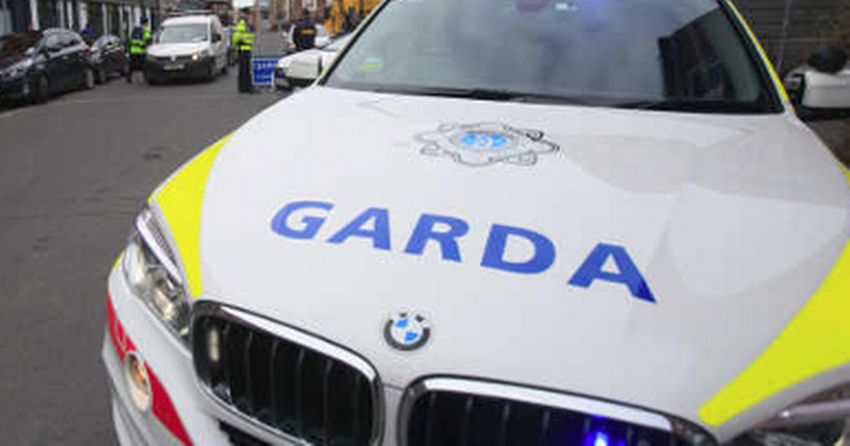 New fleet of garda vehicles cost Irish taxpayers…