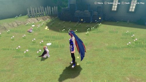 'Fire Emblem Engage' Animal Rewards: Complete List of…