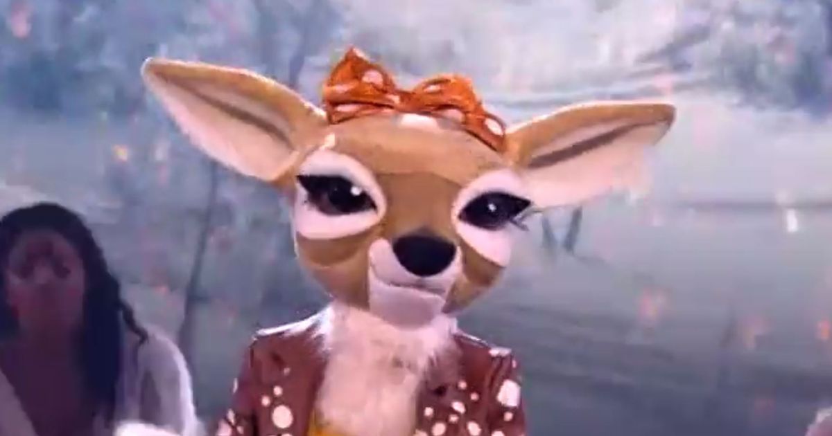 Masked Singer's Fawn 'suspect' Natalie Appleton fuels…