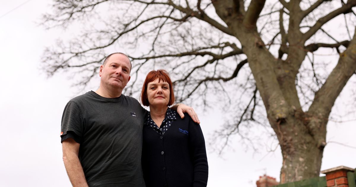 Gateshead couple in row with council over tree they…