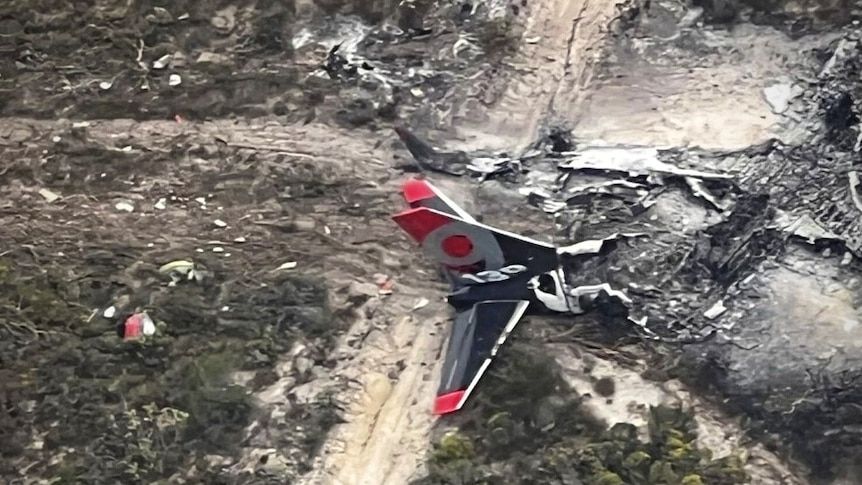 Boeing 737 crash pilots walk away from fiery wreckage…