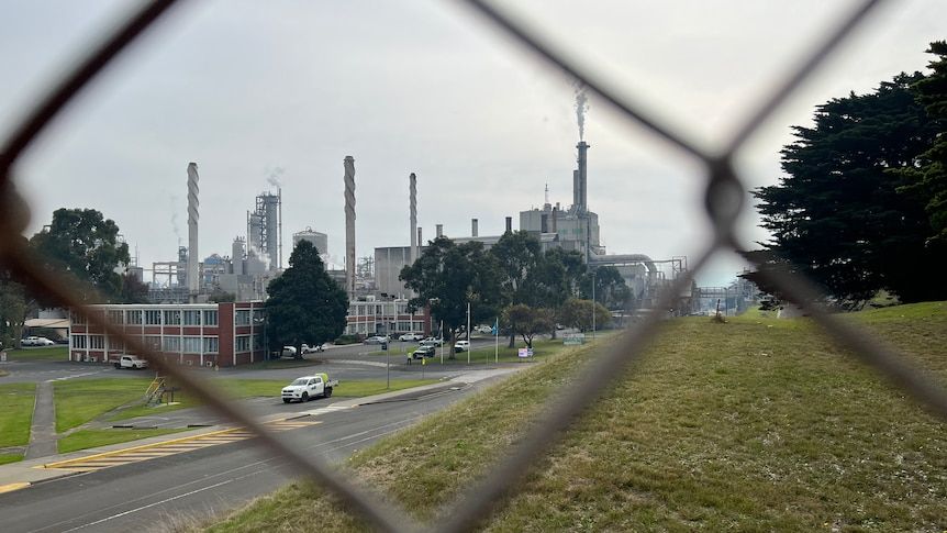 Nippon Paper Group to make a decision about the future…