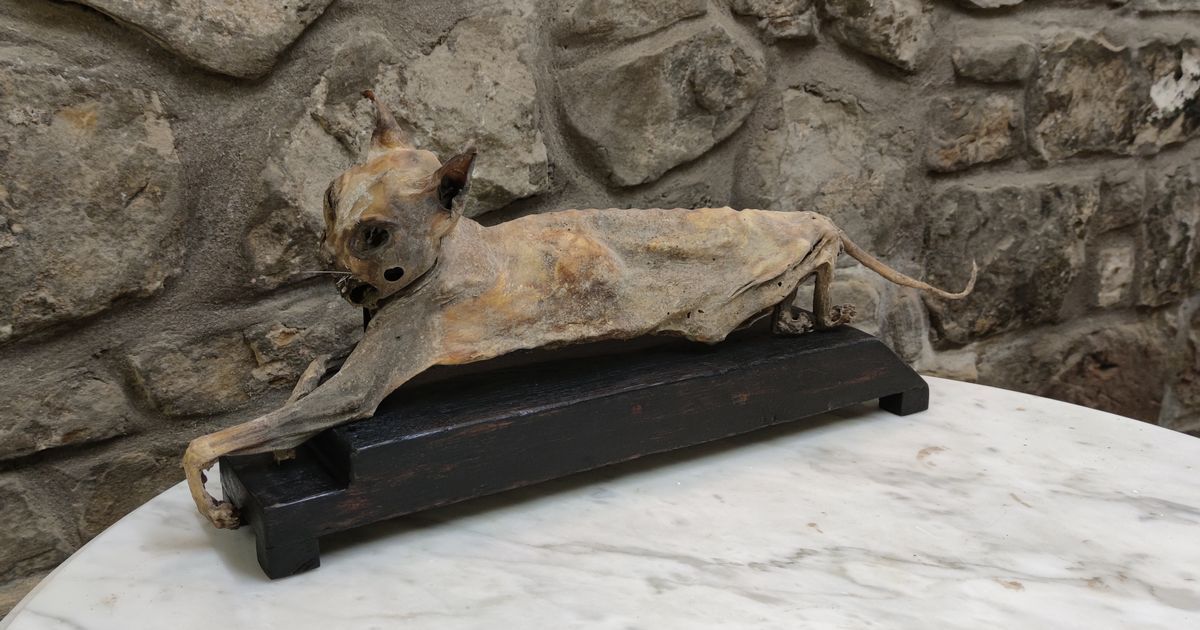 Scotland's first witchcraft museum to display…