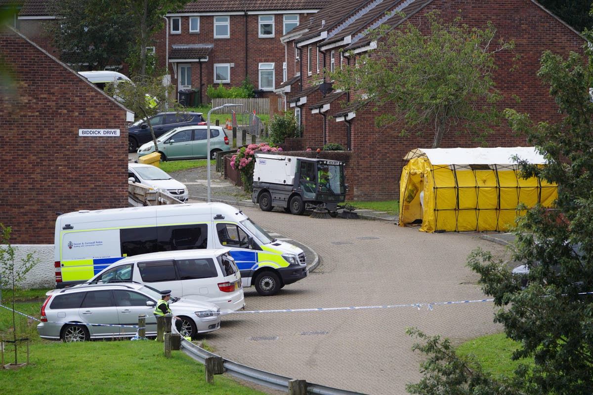 Ex-detective tells inquest of ‘surprise’ Jake Davison…