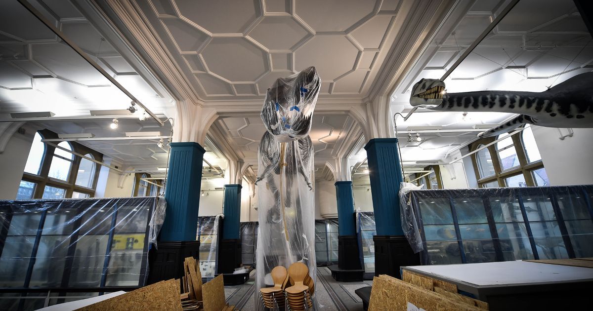 Manchester Museum re-launching with ‘Museum Lates’…