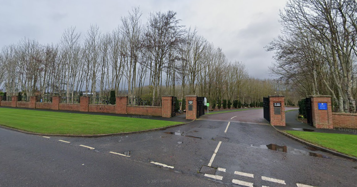 Lisburn Castlereagh Council cemetery tree plan sparks…