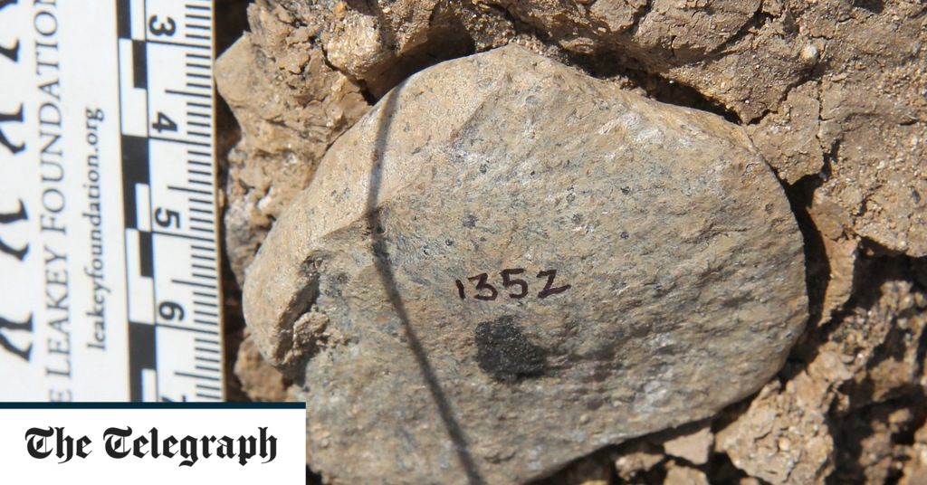 Extinct early hominids may have been making tools…