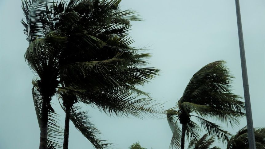 Tropical cyclone watch issued as low intensifies over…