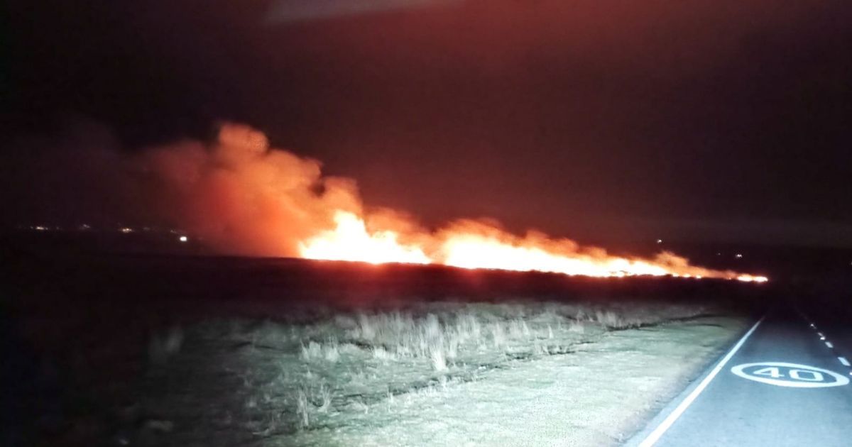 Arson warning after huge fires lit on the Gower at…