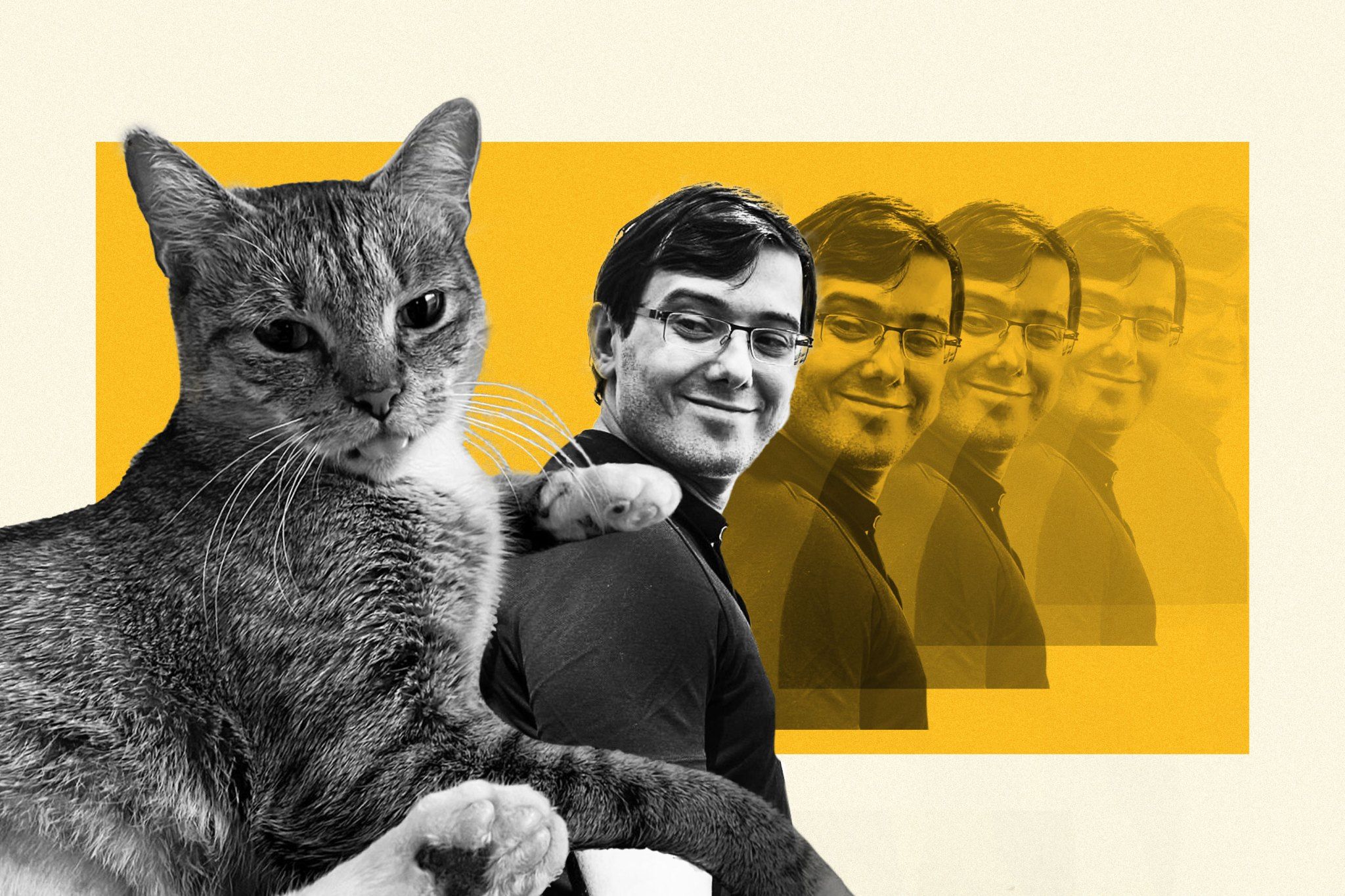 ‘Pharma bro’ Martin Shkreli’s quest for a shelter cat…